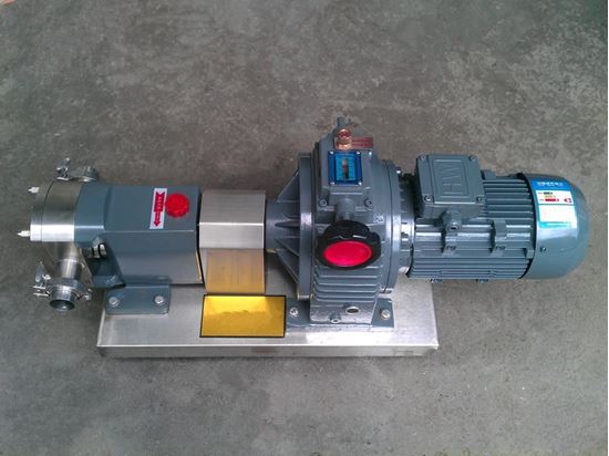 650~1600L/H milk food transfer pump food grade rotary lobe pump 0.75kw ...